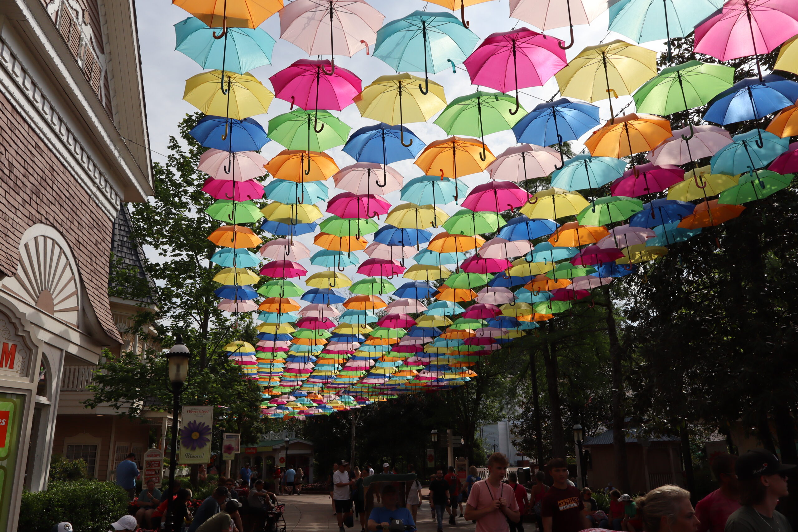 Pigeon Forge, Tennessee - Wandering Rosalita